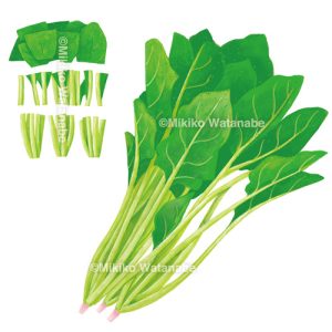 21_hourensou_1 | イラストレーター わたなべみきこ